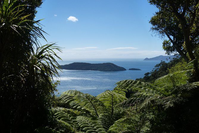 Discover Picton: Self-Guided Audio Tour - FAQ - Your Practical Questions Answered