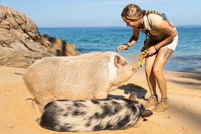 Discover Playa Las Caletas and Adventure Park in Puerto Vallarta - Activities and Experiences