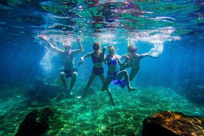 Discover Playa Las Caletas and Adventure Park in Puerto Vallarta - Practical Details and Logistics