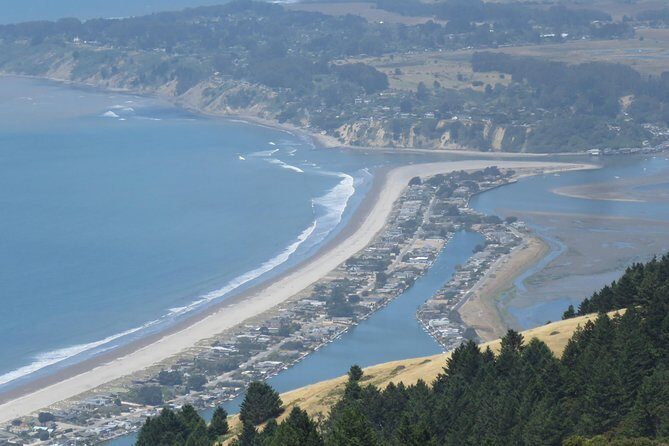 Discover Point Reyes National Seashore & Muir Woods Redwoods - Who Will Love This Tour?