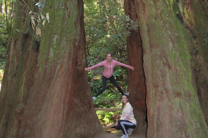 Discover Point Reyes National Seashore & Muir Woods Redwoods - FAQ