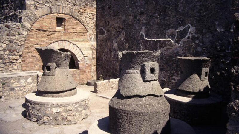 Discover Pompeii, Herculaneum and taste the wines of Vesuvius in a unique experience - Key Points