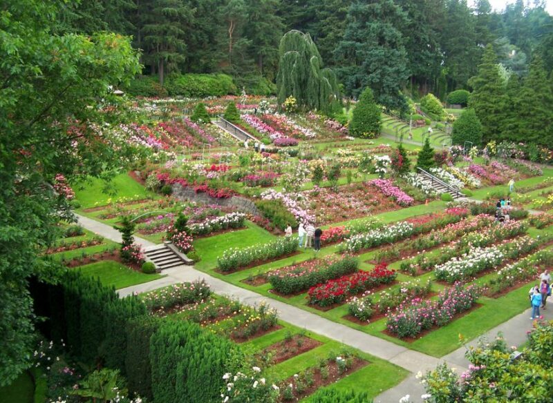 Discover Portland: Guided Sightseeing Tour (Most popular!) - The Sum Up: Is This Tour Worth It?