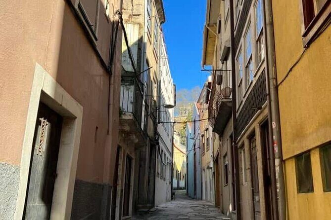 Discover Porto with an Official Guide: A Tour of Iconic Landmarks - Who Will Love This Tour?