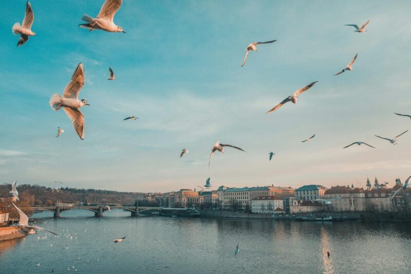 Discover Prague  4 Hours Tour Driving - Key Points