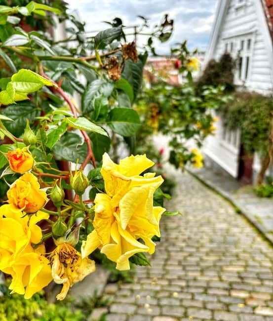 Discover Private+ Stavanger Guided City Tour - An Honest Look at the Tour Experience