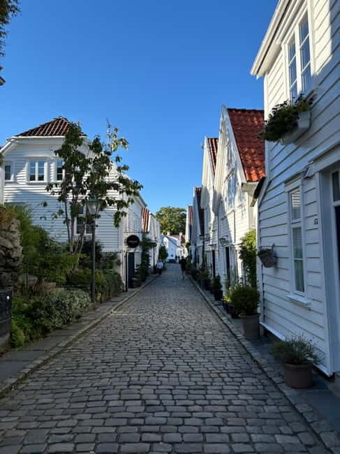 Discover Private+ Stavanger Guided City Tour - Who Will Benefit Most From This Experience?
