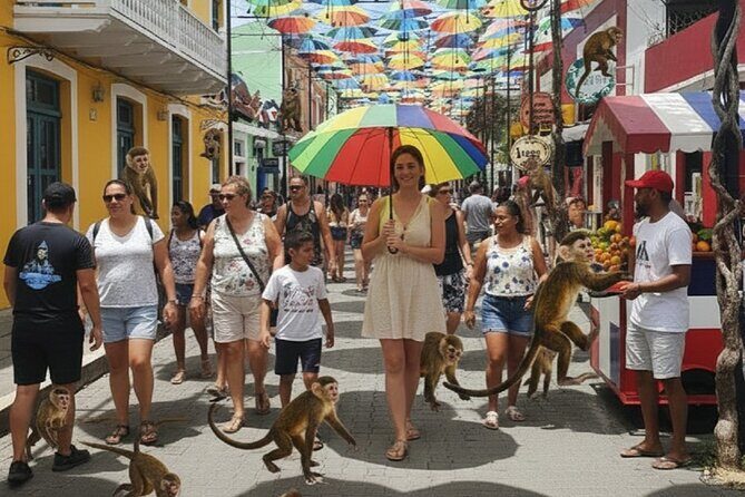 Discover Puerto Plata: City Tour and Monkey Jungle - Key Points