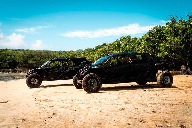 Discover Puerto Rico Like a Local 4 Hour Private Beach Escape - An In-Depth Look at the Experience