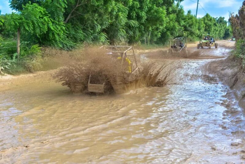 Discover Punta Cana: Buggy Tour, El Macao Beach, Blue Cenote - Discover Punta Cana: Buggy Tour, El Macao Beach, Blue Cenote