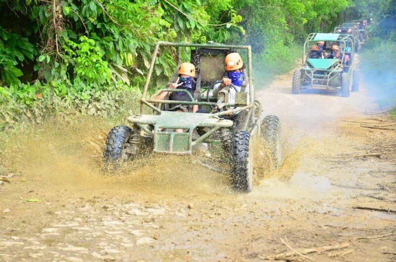Discover Punta Cana: Buggy Tour, El Macao Beach, Blue Cenote - What Real Travelers Say