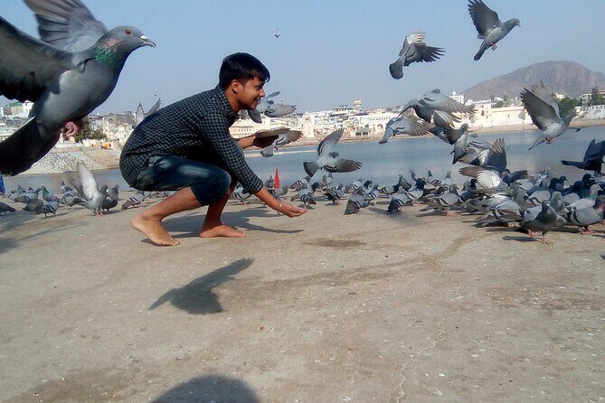 Discover Rajasthan: Jaipur, Pushkar, and Udaipur in 6 Days! - FAQ