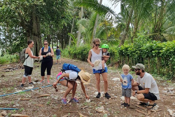 'Discover' Rarotonga Cycling Tour with Lunch - Practical Considerations and Tips