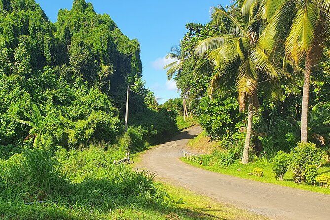 'Discover' Rarotonga Cycling Tour with Lunch - In-Depth Breakdown of the Experience