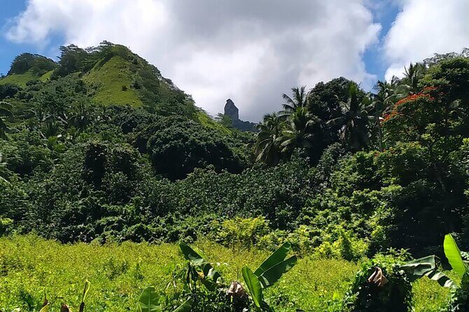 'Discover' Rarotonga Cycling Tour with Lunch - The Sum Up