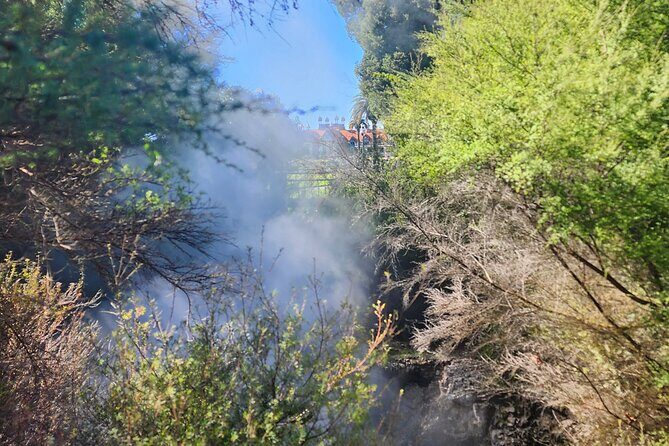 Discover Rotorua Guided Walking Tour of Hidden Gems - Value and Practical Tips