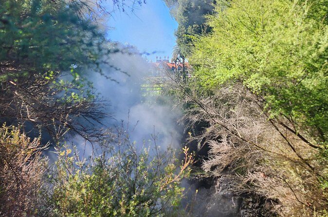 Discover Rotorua Guided Walking Tour of Hidden Gems - Why You Should Consider This Tour