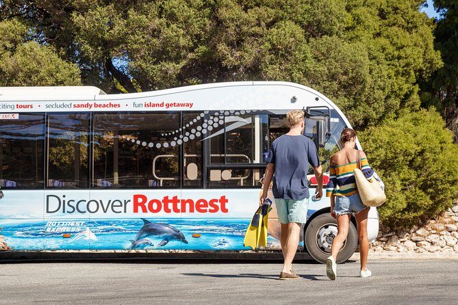 Discover Rottnest with Ferry & Bus Tour - Evaluating the Cost and Value
