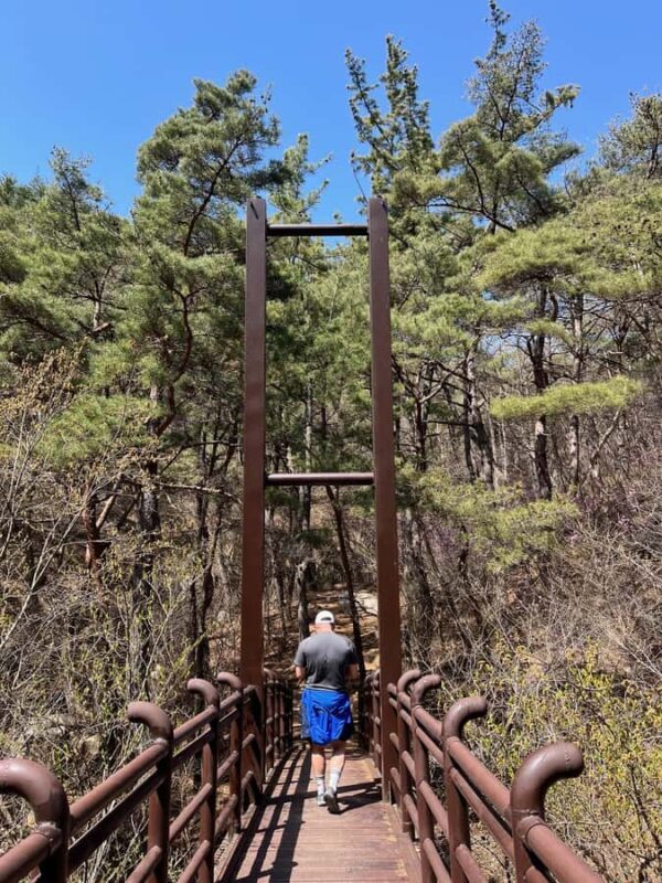 Discover Sacred Trails to Yongjangsa at Gyeongju's Namsan Mt - An Authentic Journey into Gyeongju’s Sacred Namsan