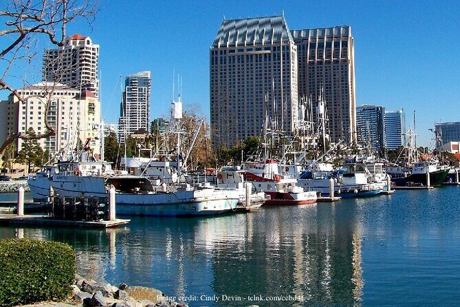 Discover San Diego's Beaches: Private Driving Tour - Final Thoughts on Value and Suitability