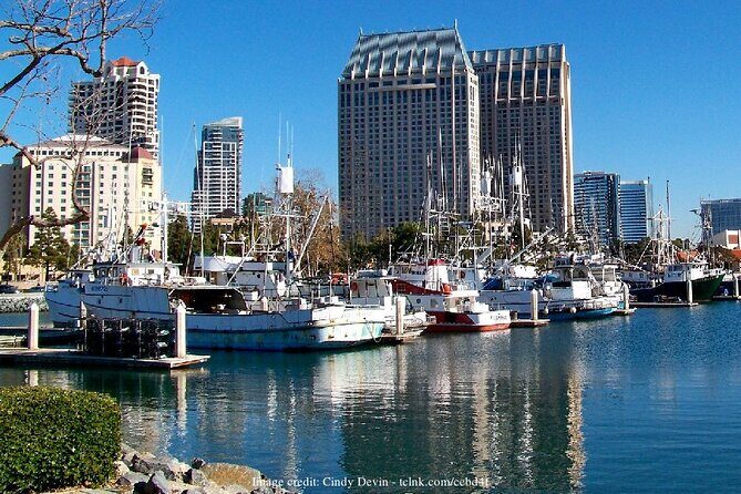 Discover San Diego's Beaches: Private Driving Tour - Frequently Asked Questions