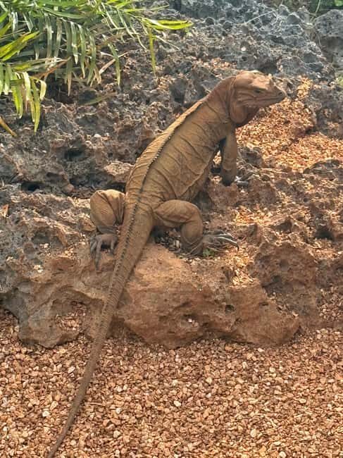 Discover Santo Domingo: A Day Trip from Punta Cana - Frequently Asked Questions