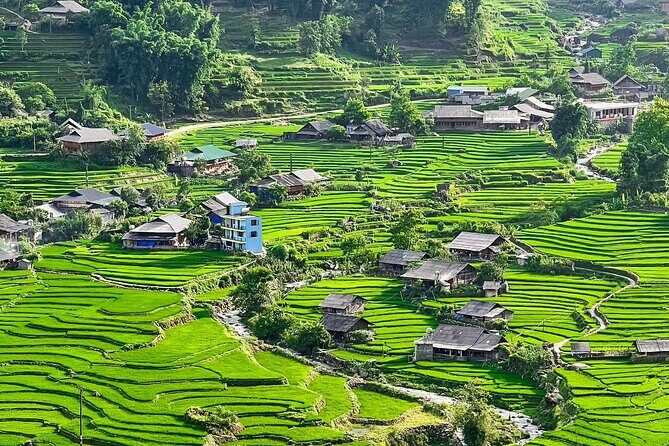 Discover Sapa: Guided Trek Through Rice Terraces & Local Villages - Key Points