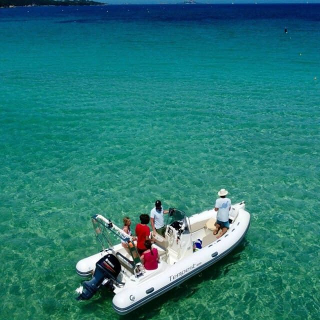Discover Sardinia: Dolphin Watching and Capo Figari Tour - Key Points