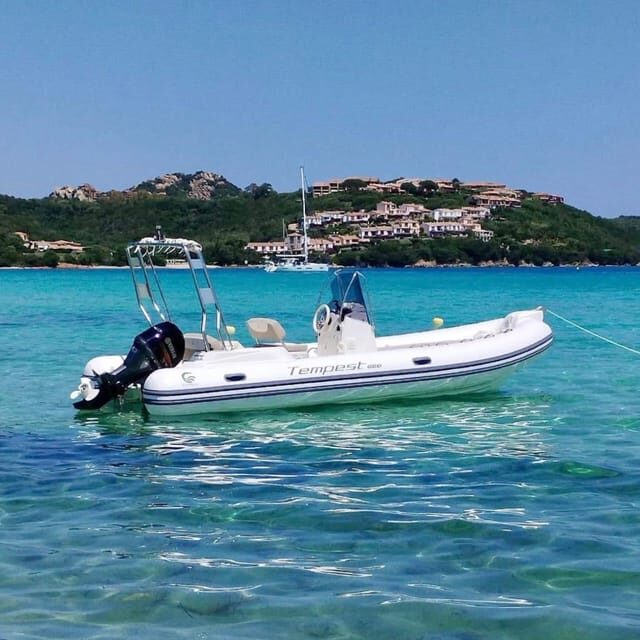 Discover Sardinia: Dolphin Watching and Capo Figari Tour - Who Would Love This Tour?