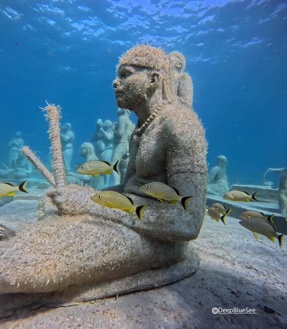 Discover Scuba at the Underwater Sculpture Park - FAQ