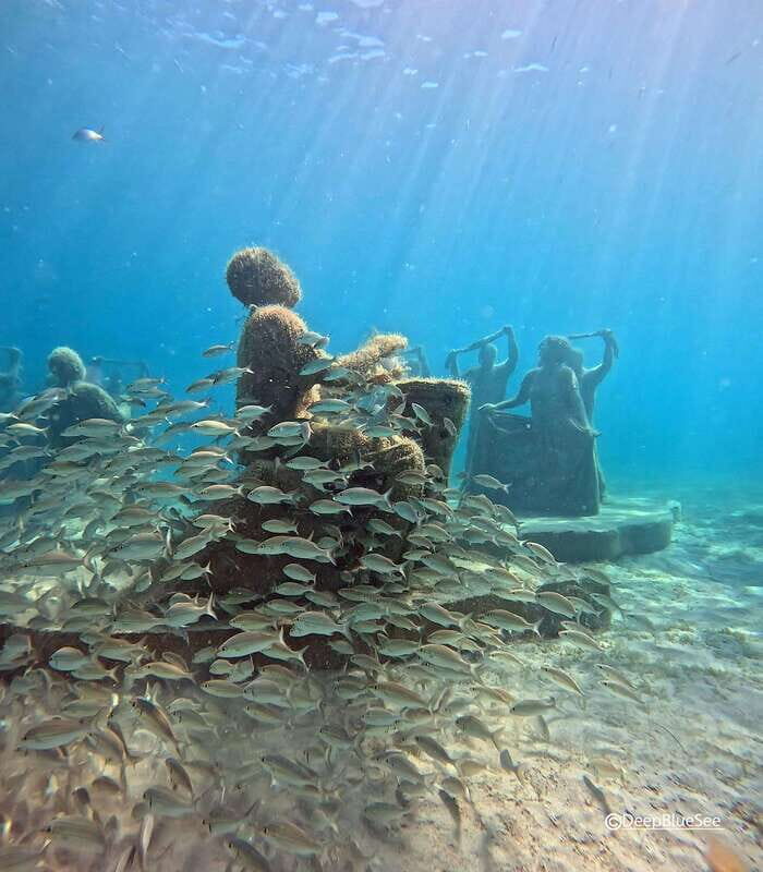 Discover Scuba at the Underwater Sculpture Park - Key Points