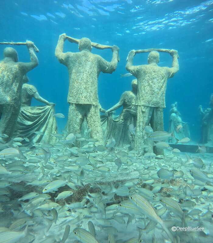 Discover Scuba at the Underwater Sculpture Park - Practical Tips for Participants