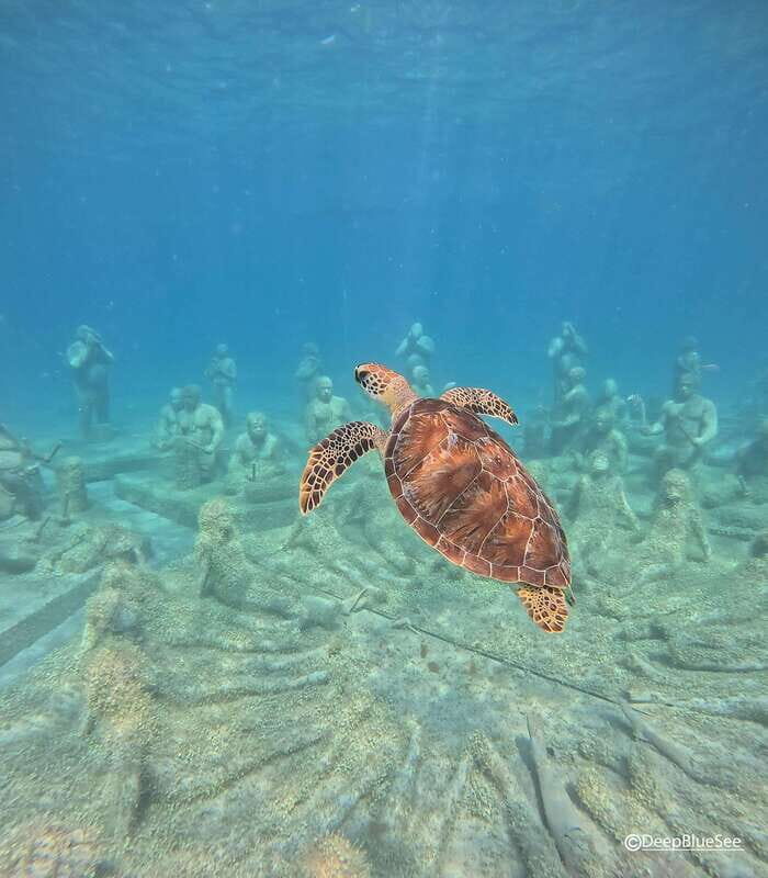 Discover Scuba at the Underwater Sculpture Park - The Sum Up: Who Will Love This Tour?