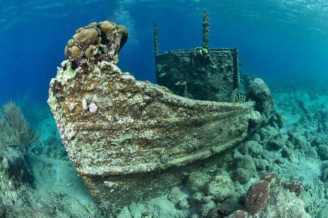 Discover Scuba Dive in Curacao - How the Tour Works: What to Expect