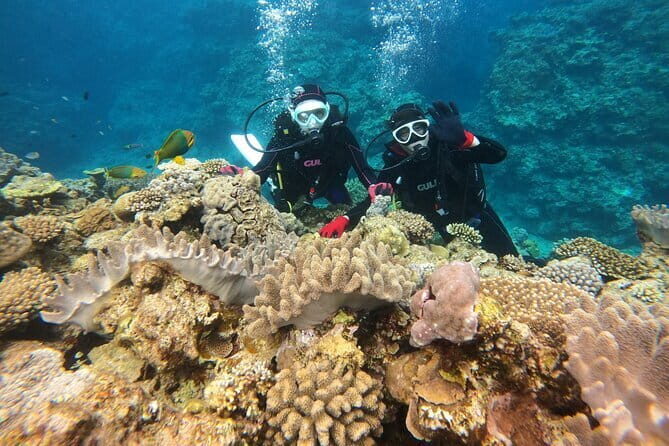 Discover SCUBA Diving 1 DIve Minna, Sesoko , Motobu Okinawa - An Honest Look at the Experience