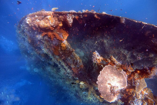 Discover Scuba Diving - An In-Depth Look at Bali Dive Trek’s Discover Scuba Tour