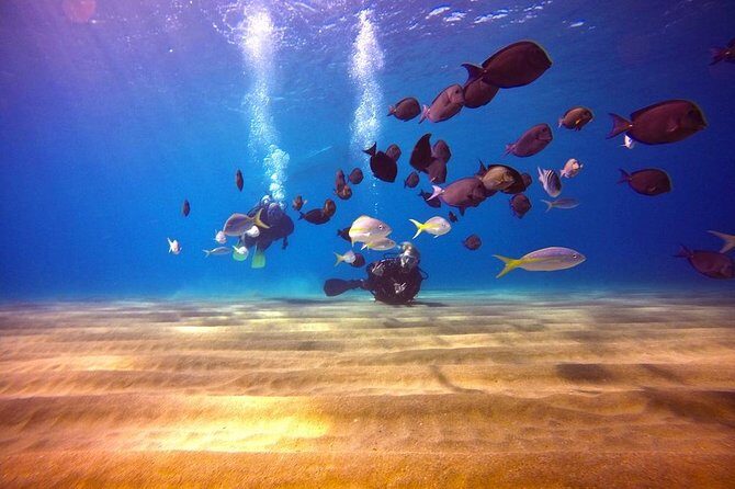 Discover Scuba Diving - What Sets This Tour Apart