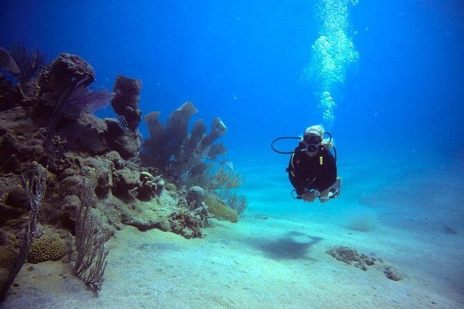Discover Scuba Diving - The Perfect Audience for This Tour