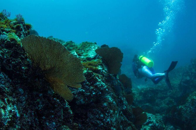 Discover Scuba Diving - Key Points