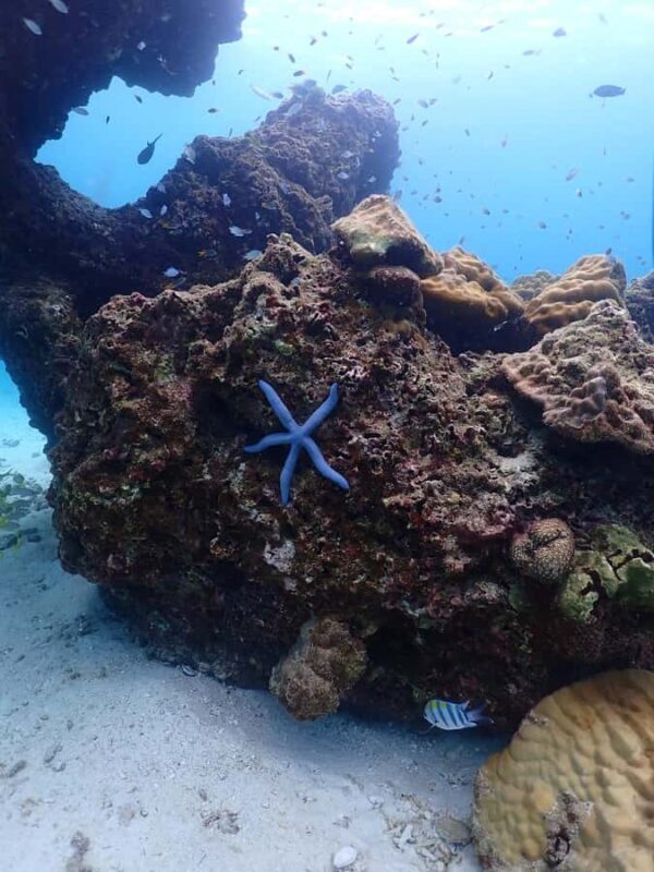 Discover Scuba diving - The Itinerary: What to Expect from Start to Finish