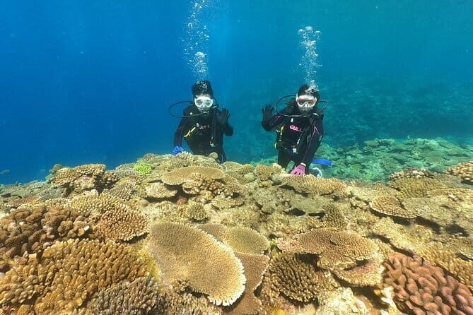 Discover SCUBA Diving 2 DIves Minna, Sesoko , Motobu Okinawa - What to Expect: A Practical Breakdown of the Tour