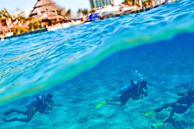 Discover Scuba Diving - Why Choose This Tour?