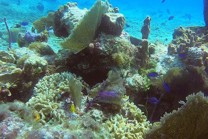 Discover Scuba Diving - The Experience for Different Travellers