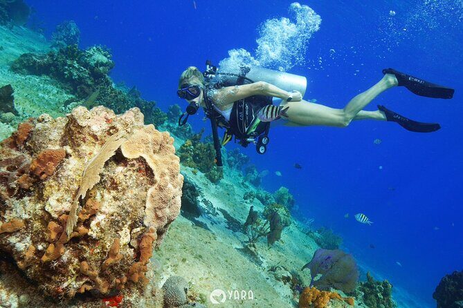 Discover Scuba Diving - Practical Details