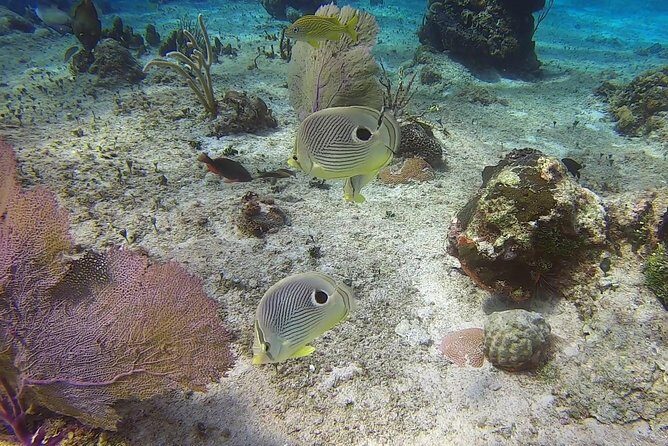 Discover Scuba Diving - The Sum Up