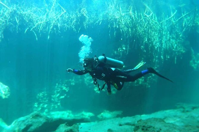 Discover Scuba Diving at Casa Cenote - Final Thoughts: Is It Worth It?