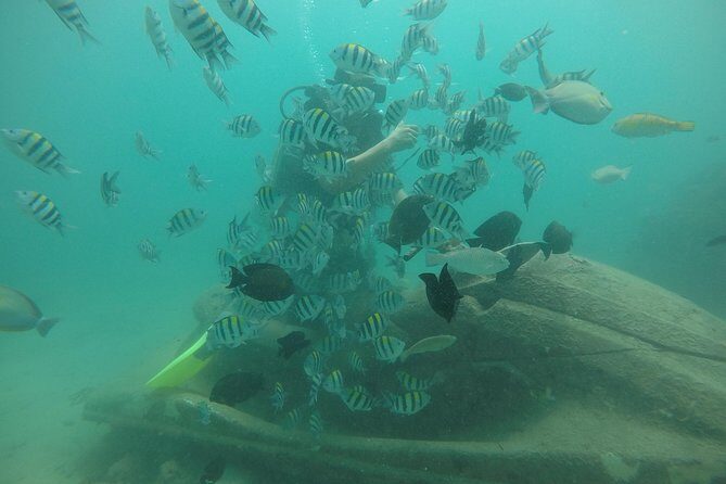 Discover Scuba Diving ( beginners) Combined With Jet Ski - The Value of All-Inclusive Pricing