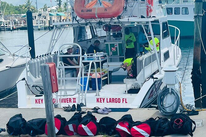 Discover Scuba Diving Course Pool Training Session in Key Largo. - Key Points