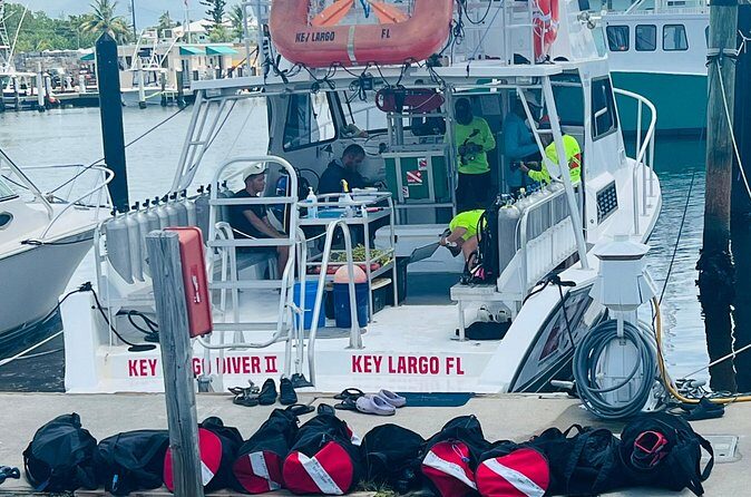 Discover Scuba Diving Course Pool Training Session in Key Largo. - Who Should Consider This Experience?