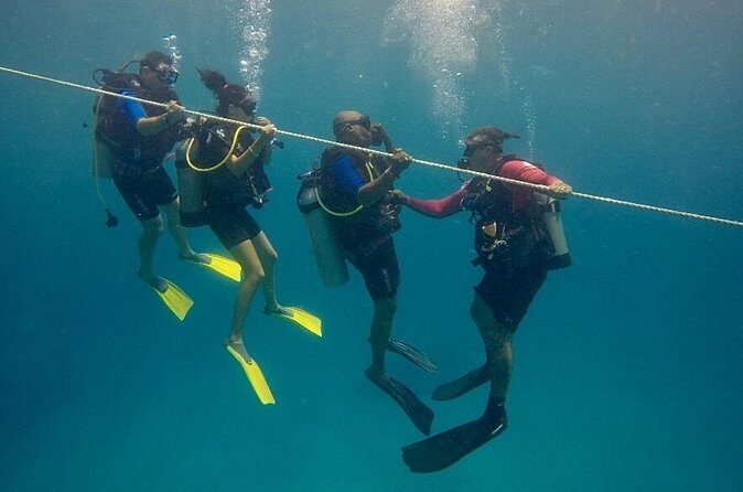 Discover Scuba Diving - DSD - Authentic Marine Encounters